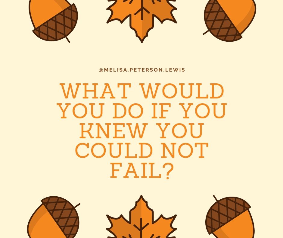 What would you do if you knew you could not fail? – Melisa Peterson Lewis